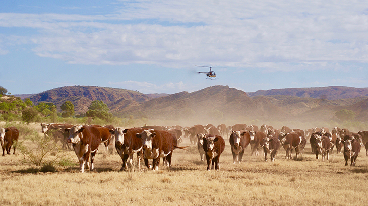 2023 Annual Update to reveal new sustainability goals for the beef ...