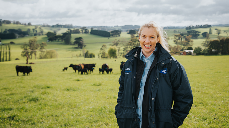 Greenham’s sustainable beef to feature at annual launch | The ...