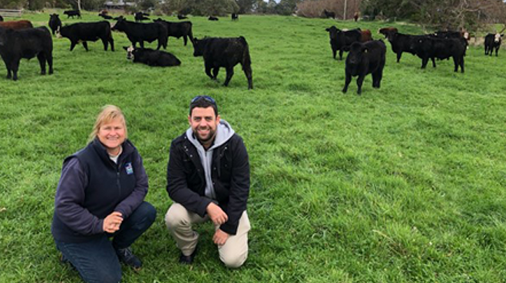 News | The Australian Beef Sustainability Framework News | The Australian Beef Sustainability Framework